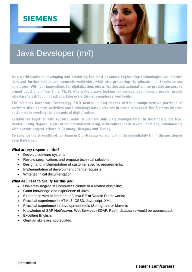 Java Developer | PDF