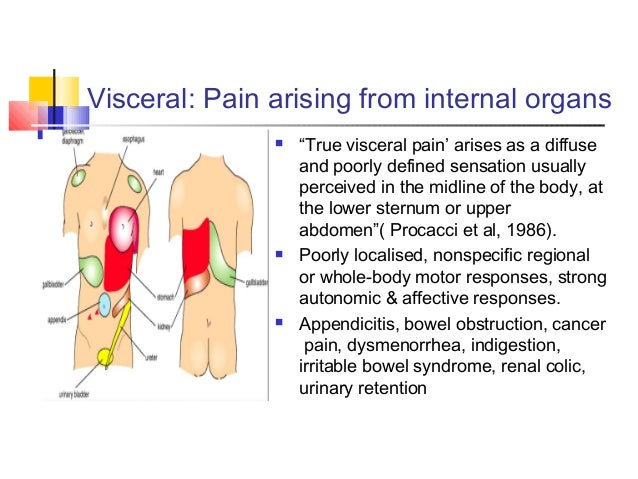 Examples Of Visceral Pain : Pathophysiology: Visceral Pain Flashcards ...