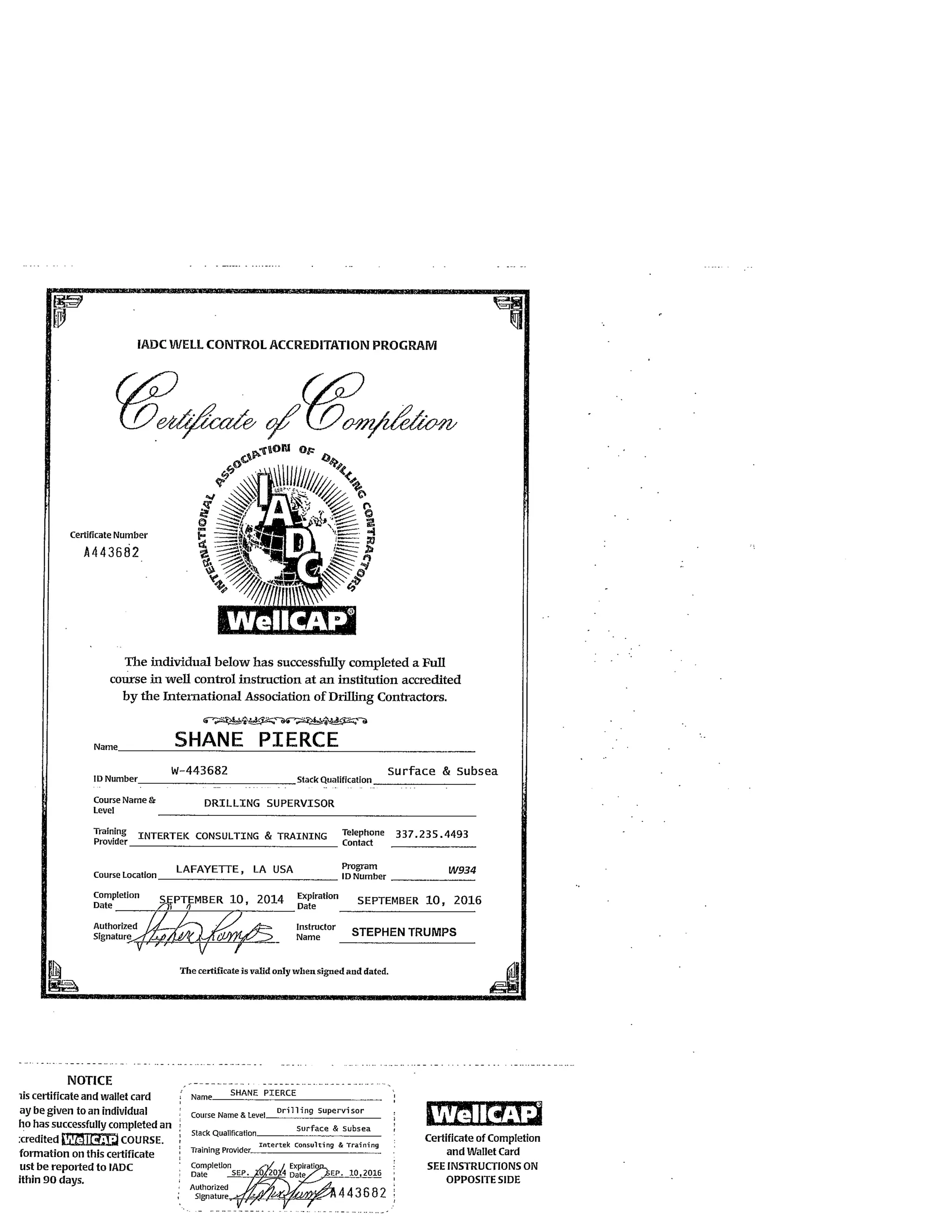 Shane Pierce | PDF | Free Download