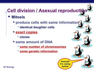 55 ch12meiosis2008 | PPT