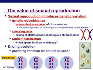 55 ch12meiosis2008 | PPT