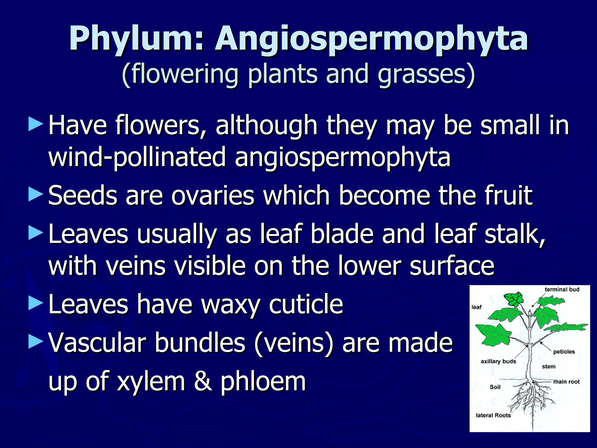 5.5 Classification | PPT
