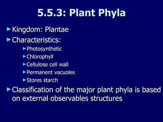 5.5 Classification | PPT
