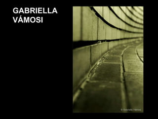 Gabriella Vámosi - Contemporary Constructive Photography | PPT