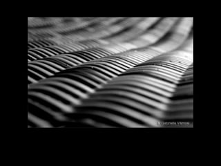 Gabriella Vámosi - Contemporary Constructive Photography | PPT