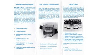 Vec Technologies Capabilities | PPTX