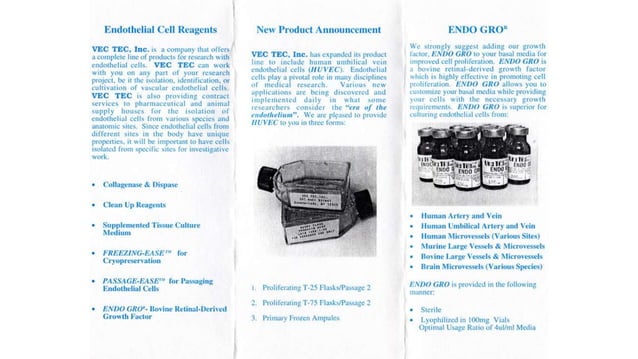 Vec Technologies Capabilities | PPTX