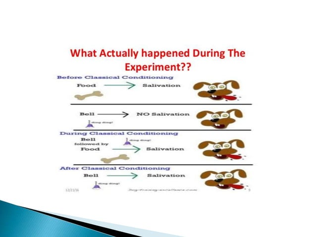 Theory of Learning (Classical Conditioning) | PPT
