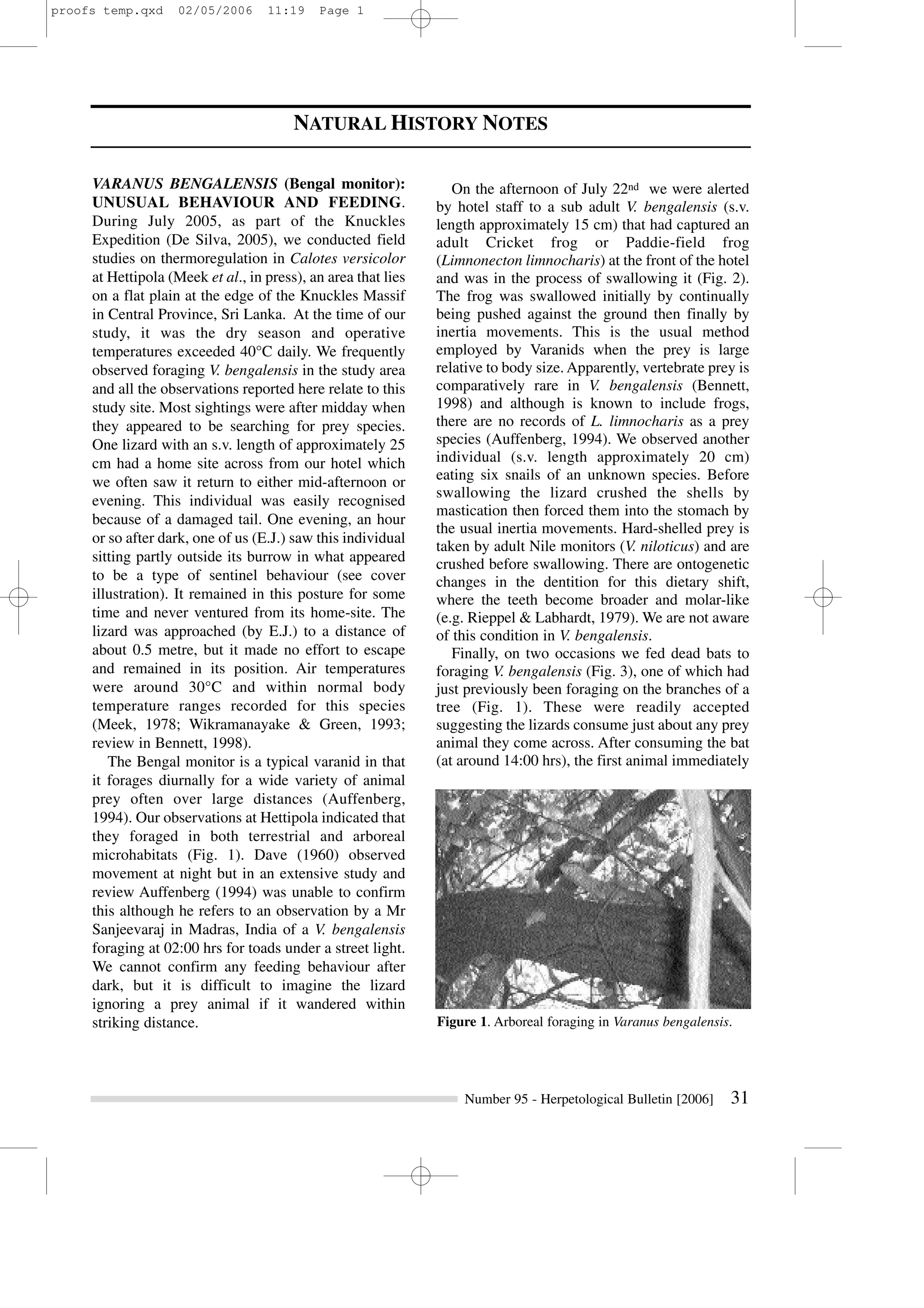 55; varanus bengalensis feeding behaviour (natural history note) | PDF