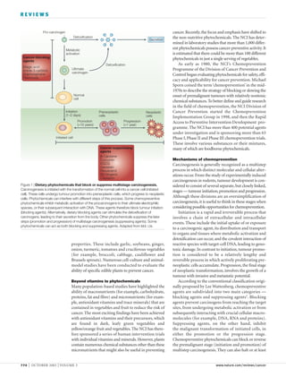 Cancer chemoprevention with dietary phytochemicals | PDF