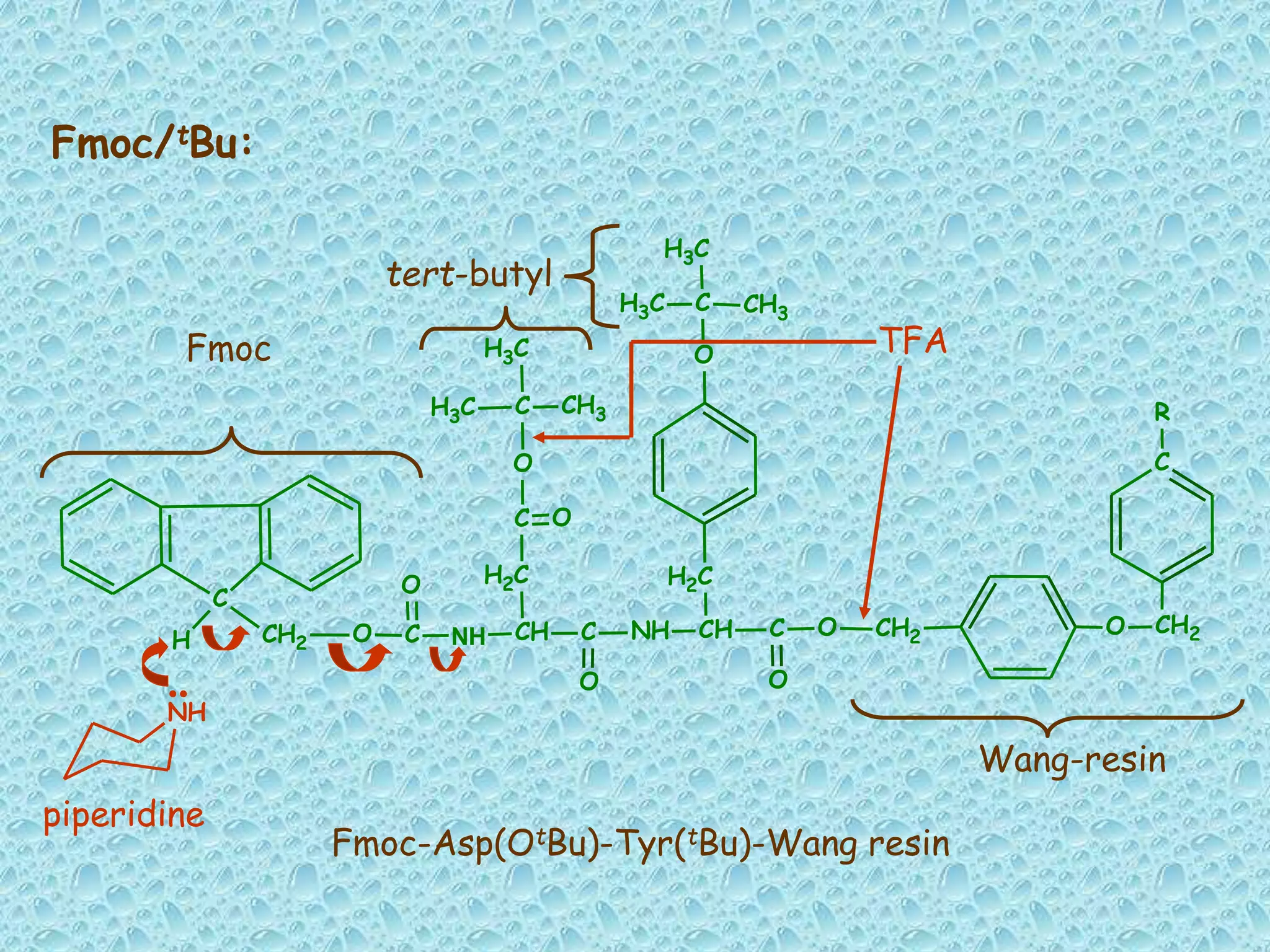 SOLID PHASE PEPTIDE SYNTHESIS | PPT