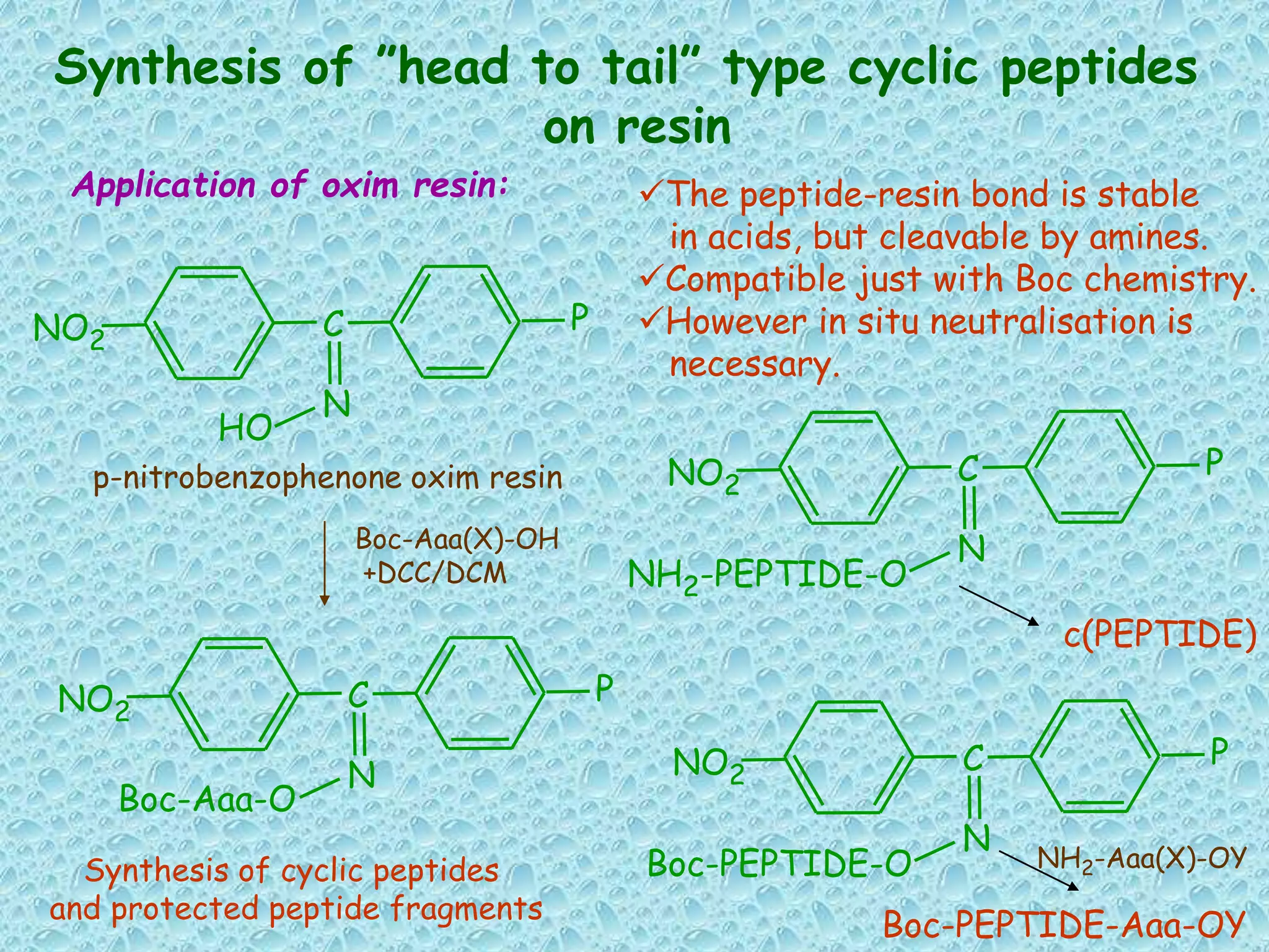SOLID PHASE PEPTIDE SYNTHESIS | PPT