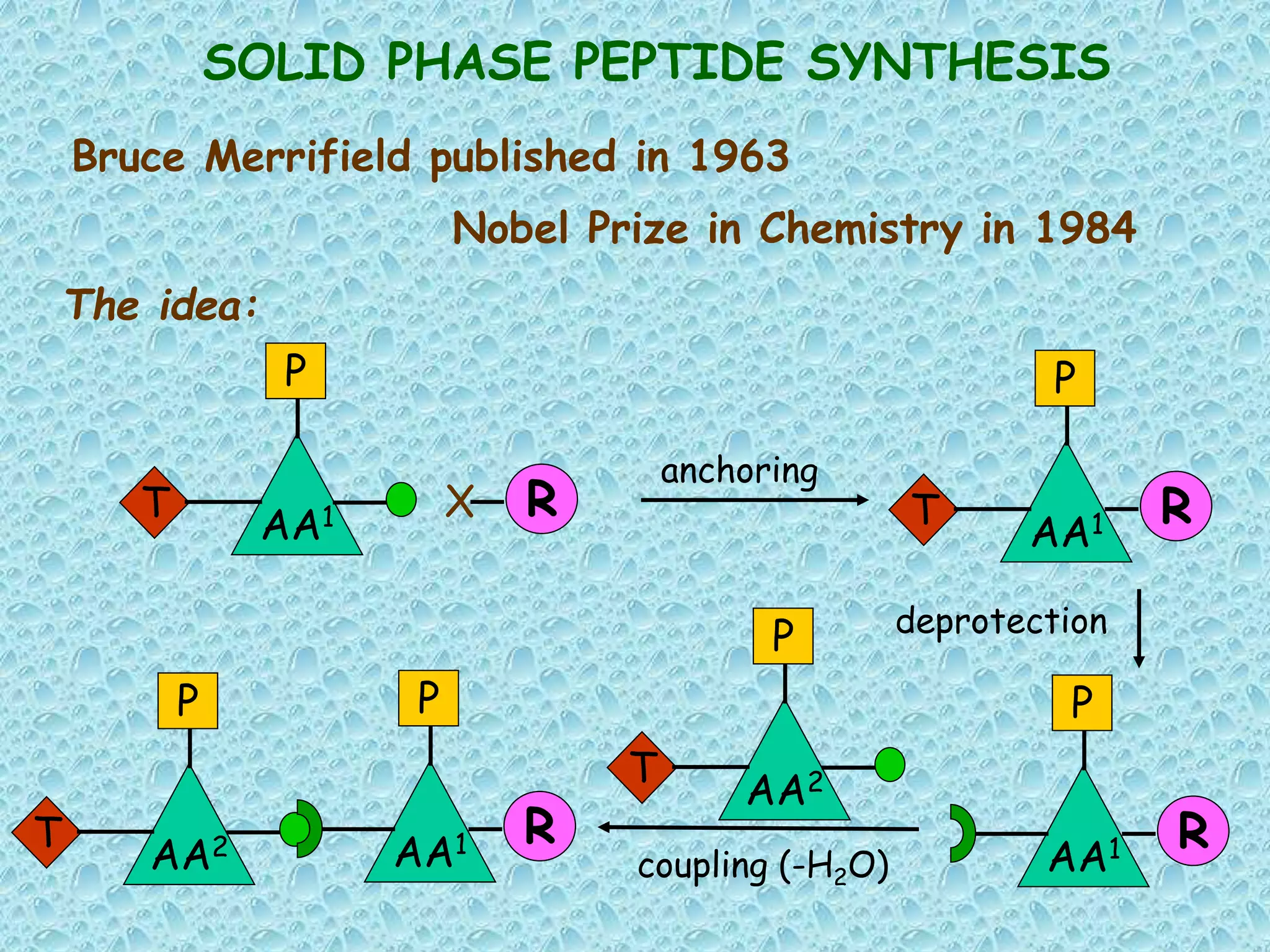 SOLID PHASE PEPTIDE SYNTHESIS | PPT