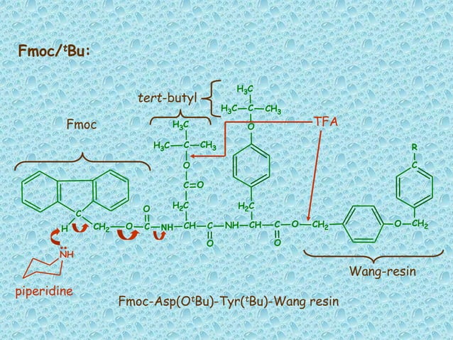 SOLID PHASE PEPTIDE SYNTHESIS | PPT | Chemistry | Science