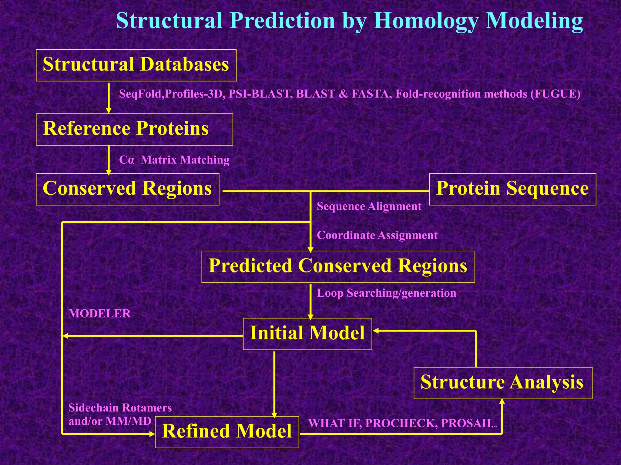 HOMOLOGY MODELING IN EASIER WAY | PPT