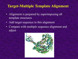 HOMOLOGY MODELING IN EASIER WAY | PPT