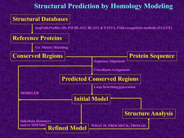 HOMOLOGY MODELING IN EASIER WAY | PPT | Biological Sciences | Science