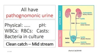 56 new round clinical uti 4-1-2020 | PPT