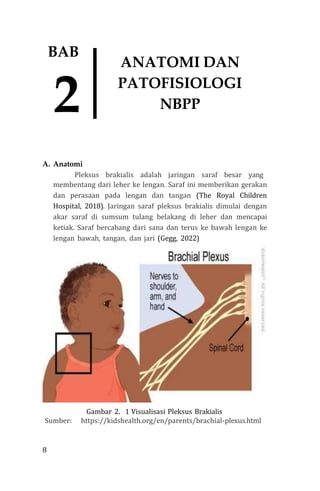 560093-mengenal-neonatal-brachial-plexus-palsy-42e982b9.pptx