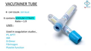 bloo collection.pptx