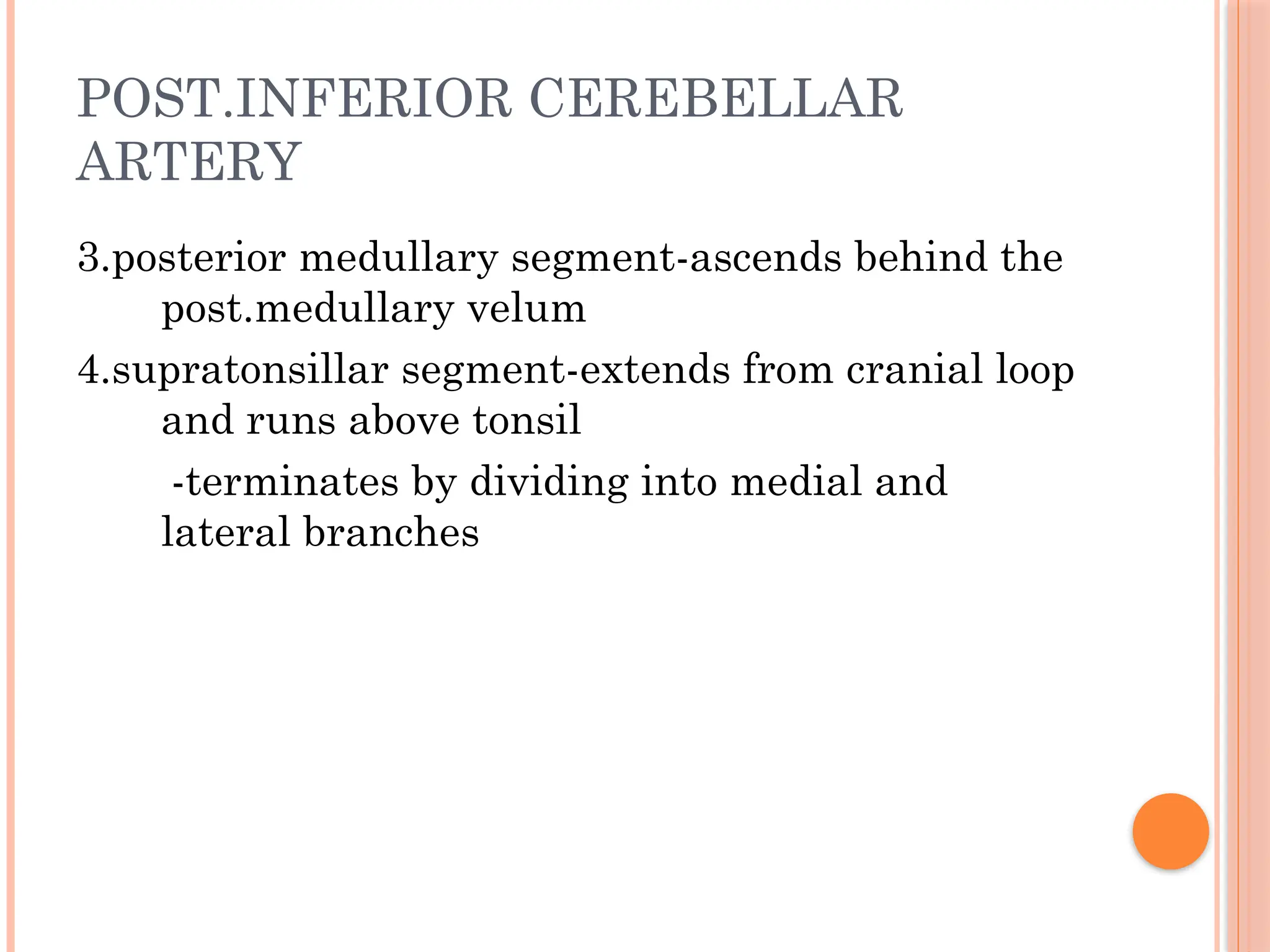 Power point presentation vascular anatomy | PPTX