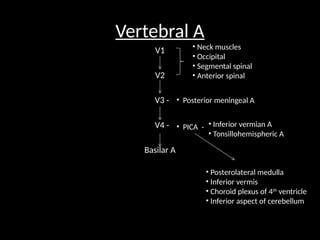 Arterial supply anatomy brain ct brain angiography | PPTX