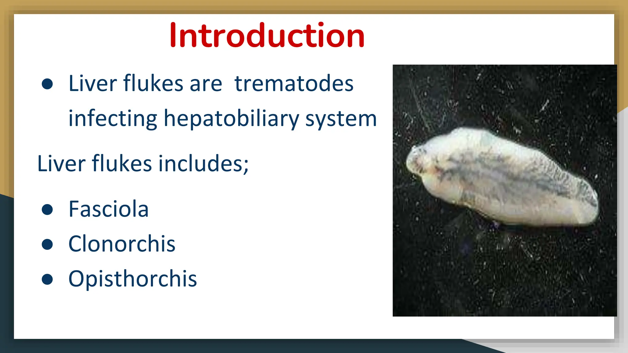 Trematode infections of Hepatobiliary system.pptx