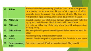 5_6093865003050340297 of animals best.pptx