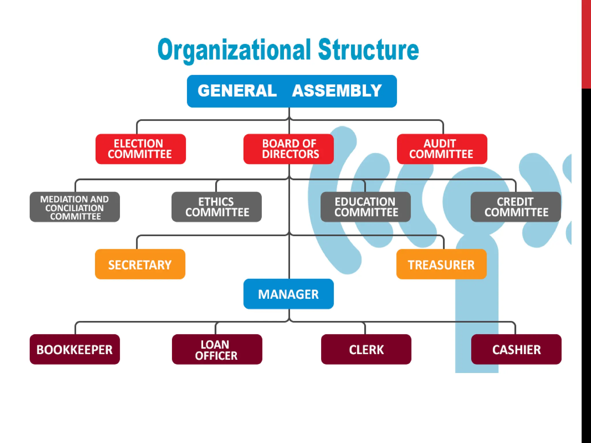 Organization and management of cooperatives | PDF
