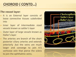 Uveal tract anatomy | PPTX