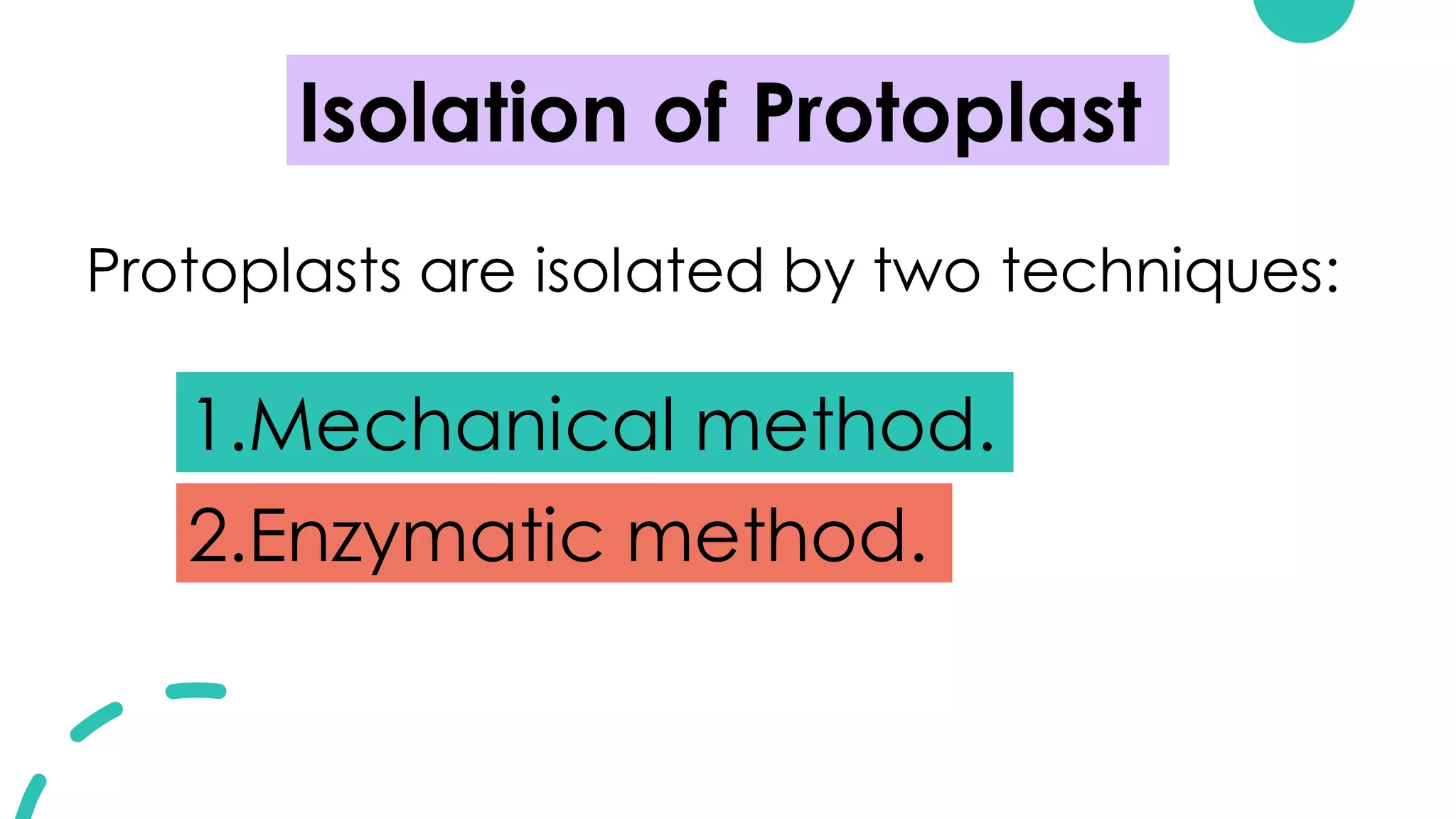 Protoplast isolation |protoplast culture |plant biotechnology | PPT