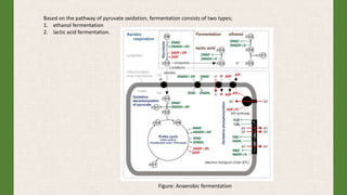 5_6127400687518091100.pptx