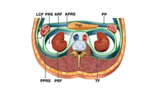 5_6134079791160100714.pptx