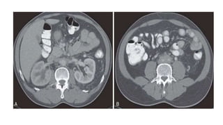 5_6134079791160100714.pptx