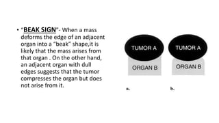 5_6134079791160100714.pptx