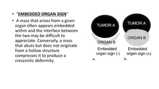 5_6134079791160100714.pptx