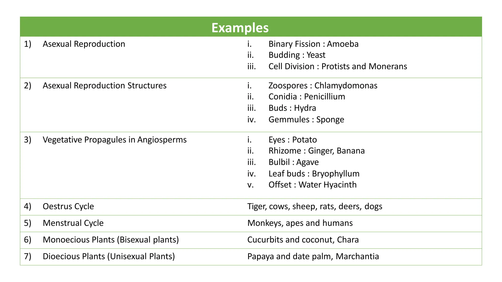 Comprehensive Biology ( EXAMPLE ) Notes (NCERT) | PDF