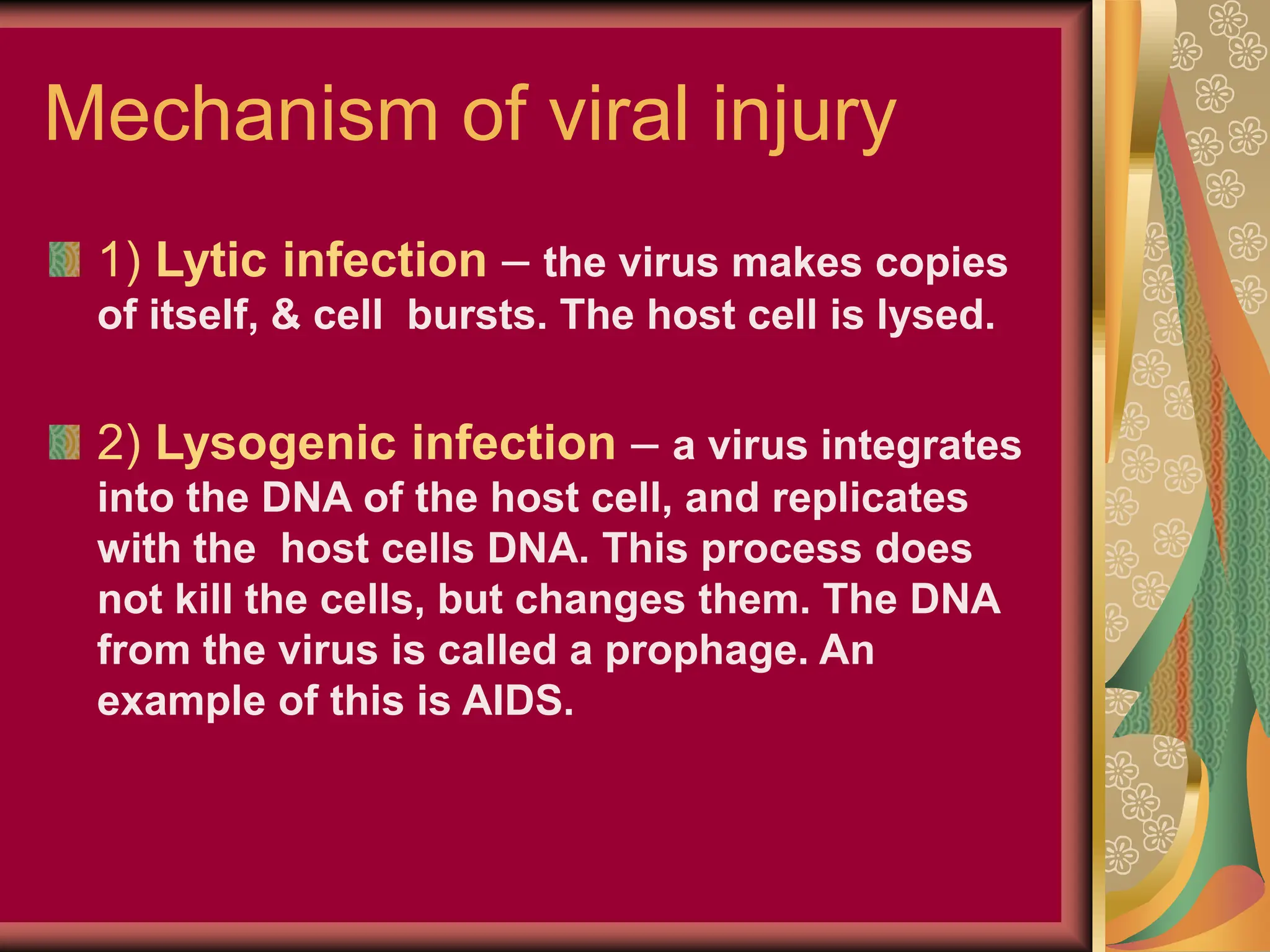 Human viruses and viral diseases Power point.ppt