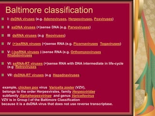 Human viruses and viral diseases Power point.ppt