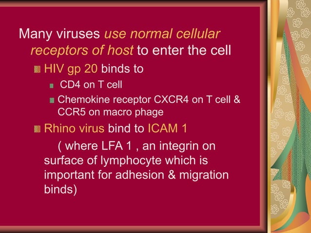 Human viruses and viral diseases Power point.ppt