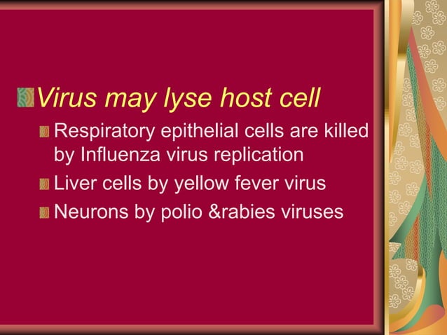 Human viruses and viral diseases Power point.ppt