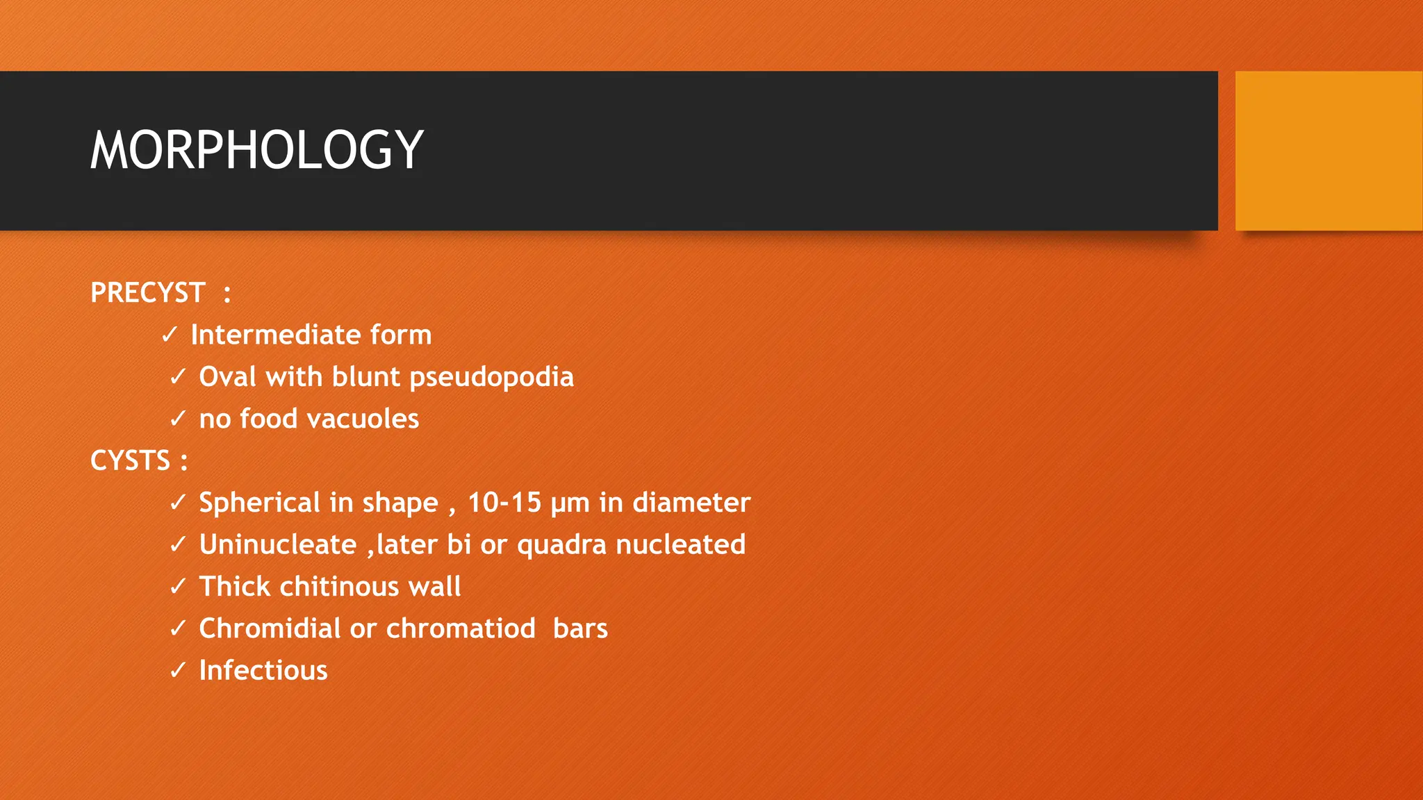 5_6192677400073998007. Amoebiasis explanation | PPT