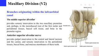 basic techniques of dental local anesthesia.pptx