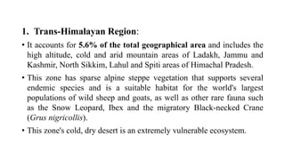 5_6199696312938531041.pptx