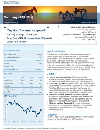 Peyto IC - Pitch | PDF