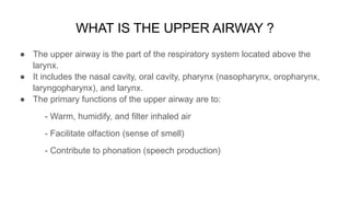 Detailed Anatomy of all the structures of Upper airway | PPTX