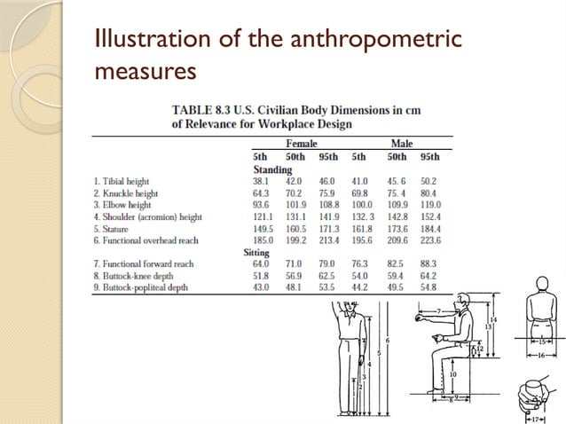 5_6206315222613890679 industrial eng.pptx