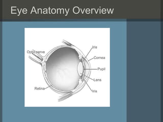 Adie’s Syndrome Focus Presentation.ppt