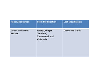 5_6222110437291327577.pptx