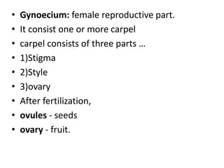 5_6222110437291327577.pptx